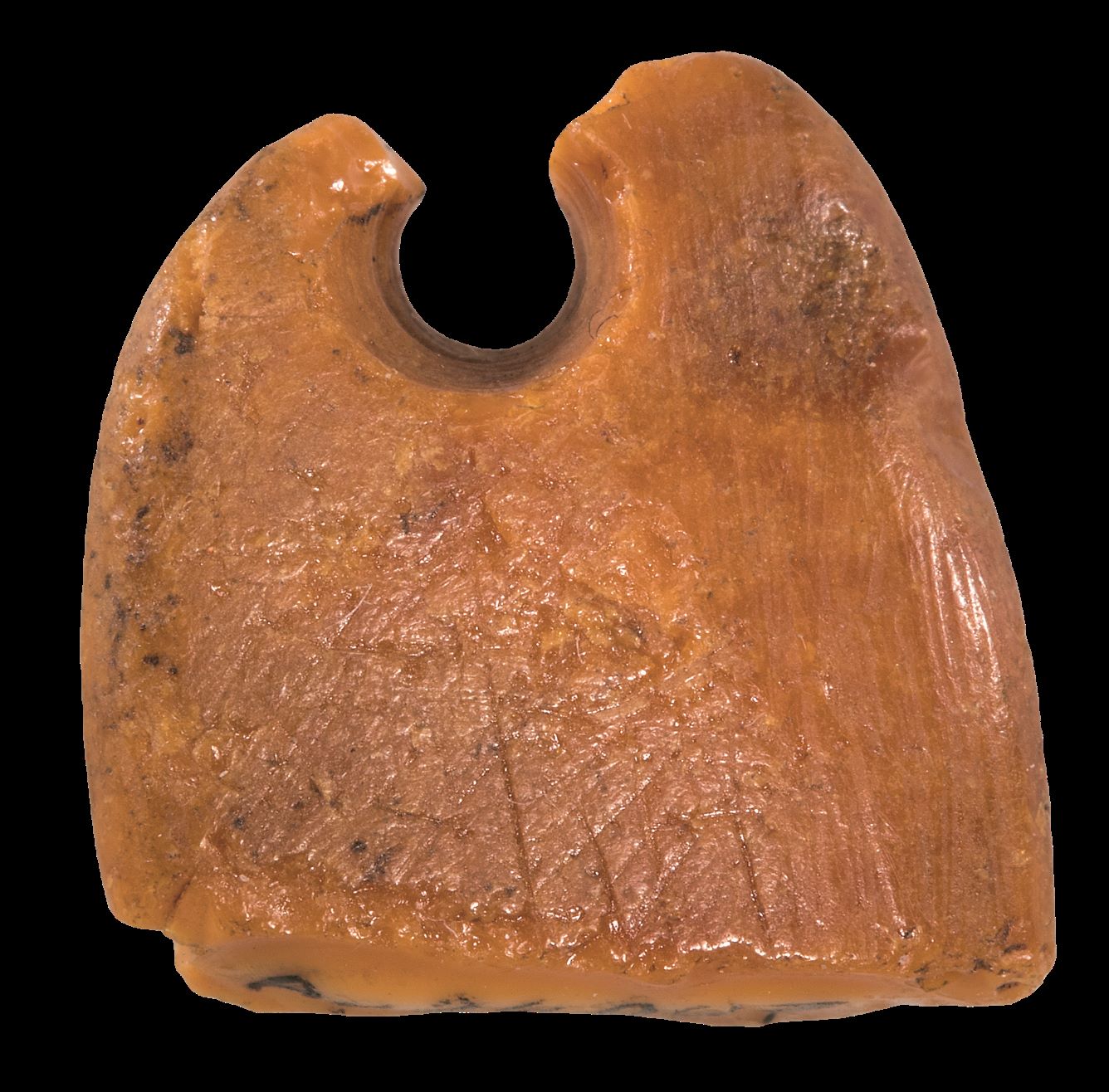 Gintaras iš gelmių | Lietuvos nacionalinis dailės muziejus